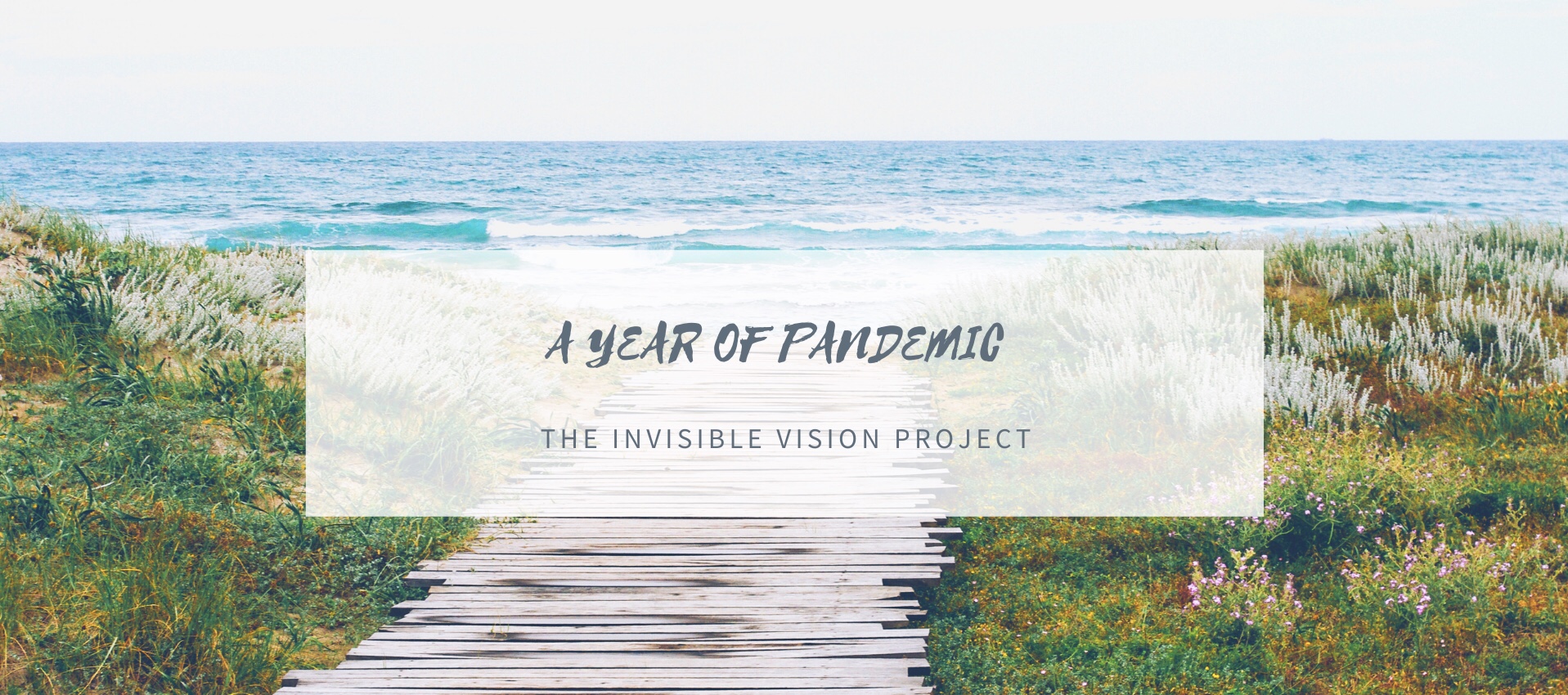 A Year of Pandemic – The Invisible Vision Project